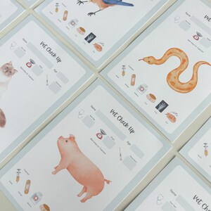 Vet Check up Dramatic Play Printable, Veterinary Clinic, Animal ...