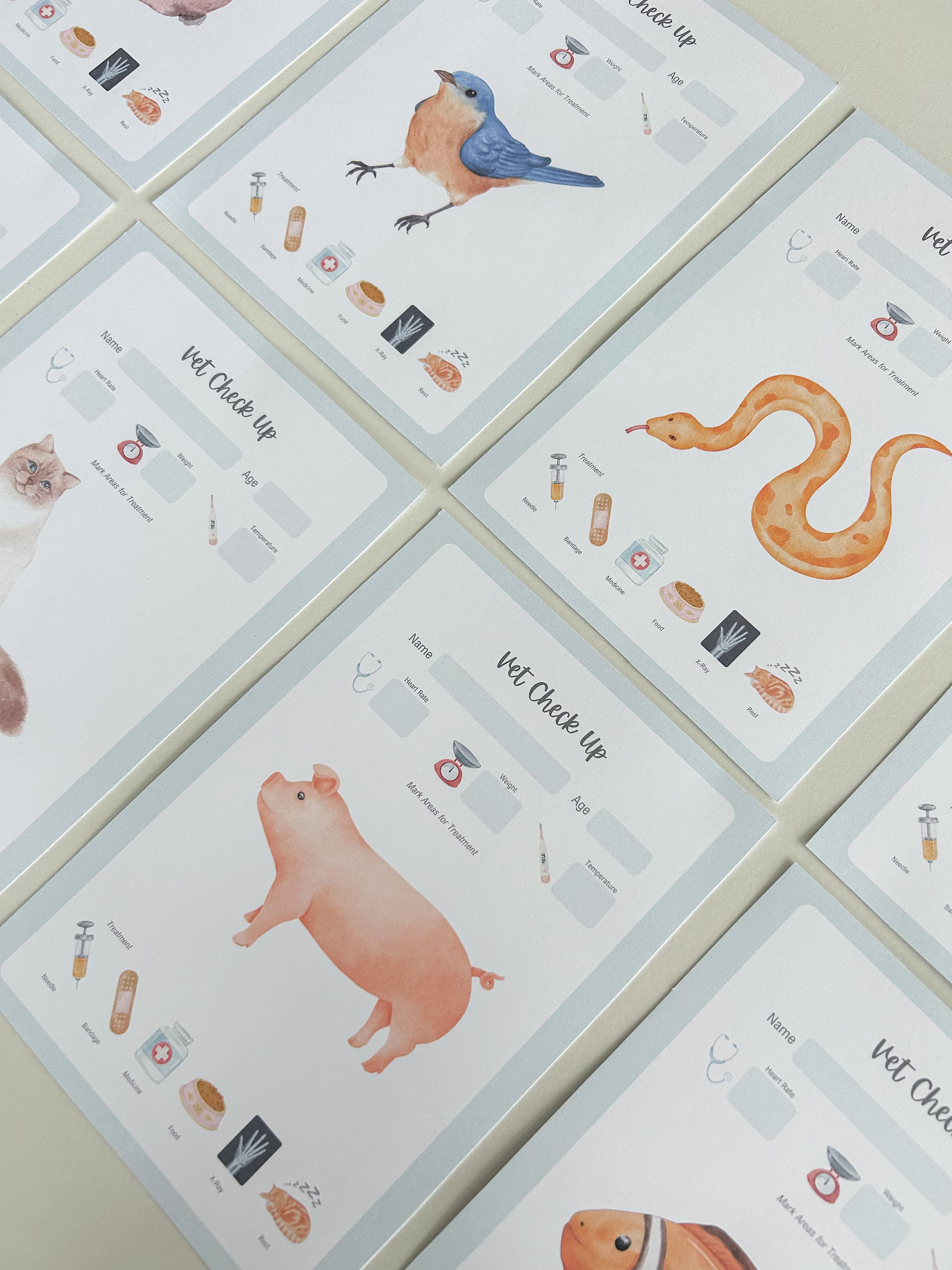 Vet Check up Dramatic Play Printable, Veterinary Clinic, Animal ...