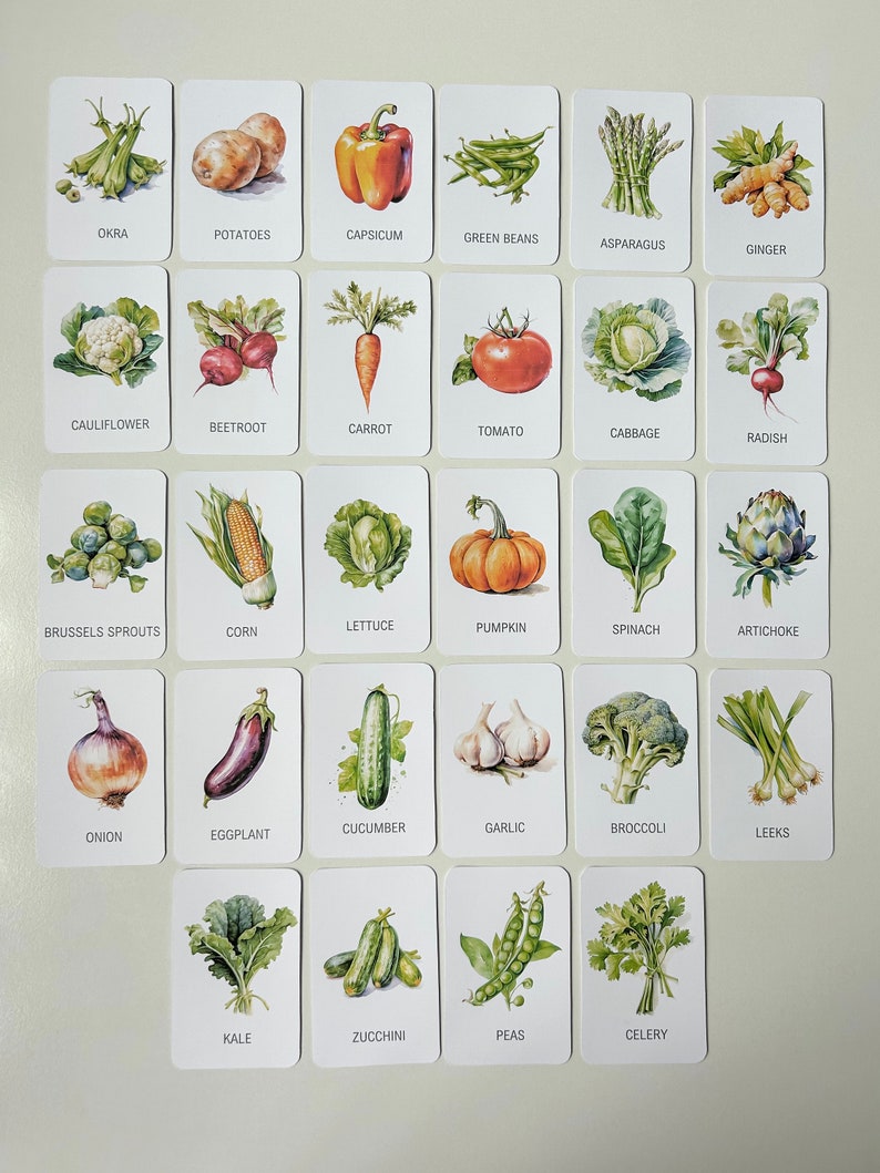 28 Vegetable Flashcards Printable, Educational Resource, Child ...