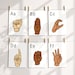 ASL Alphabet Flashcards Printable, Learn American Sign Language ...