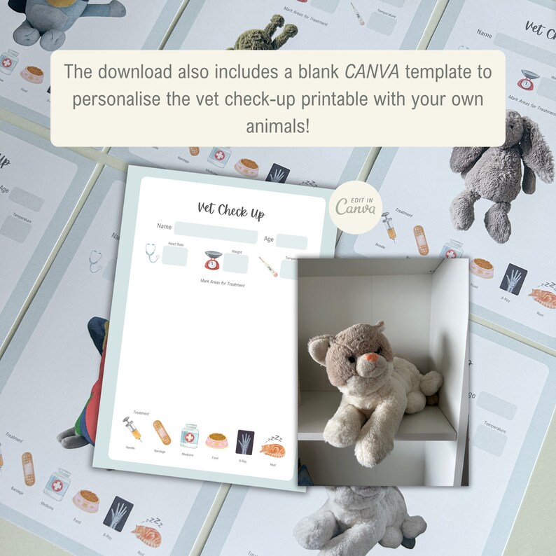 Vet Check up Dramatic Play Printable, Veterinary Clinic, Animal ...