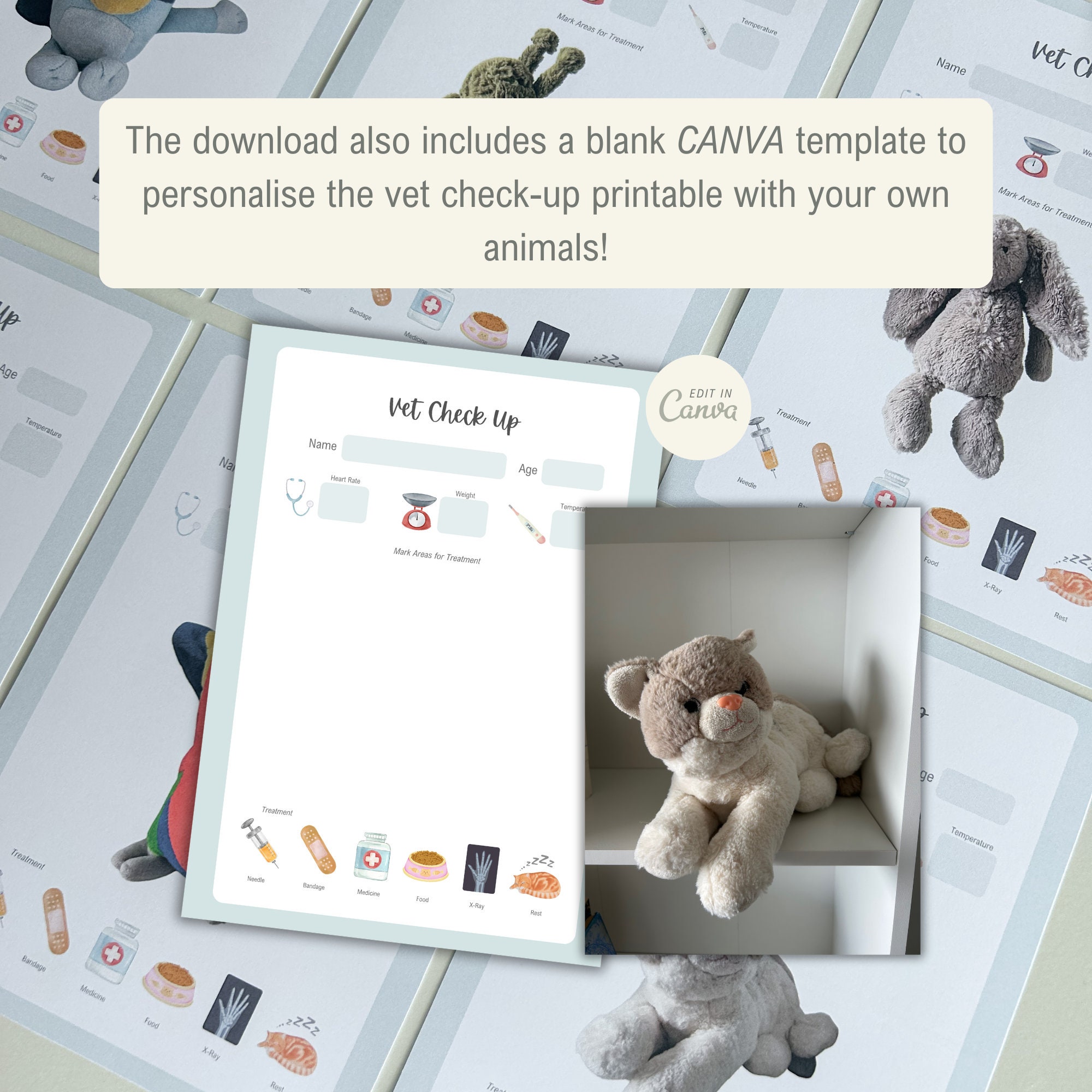 Vet Check up Dramatic Play Printable, Veterinary Clinic, Animal ...