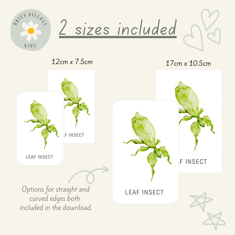 24 Children's Minibeast Flashcards Printable 2 Kids - Etsy