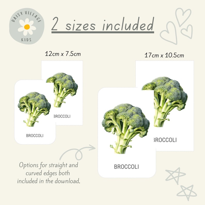 28 Vegetable Flashcards Printable Educational Resource Child - Etsy