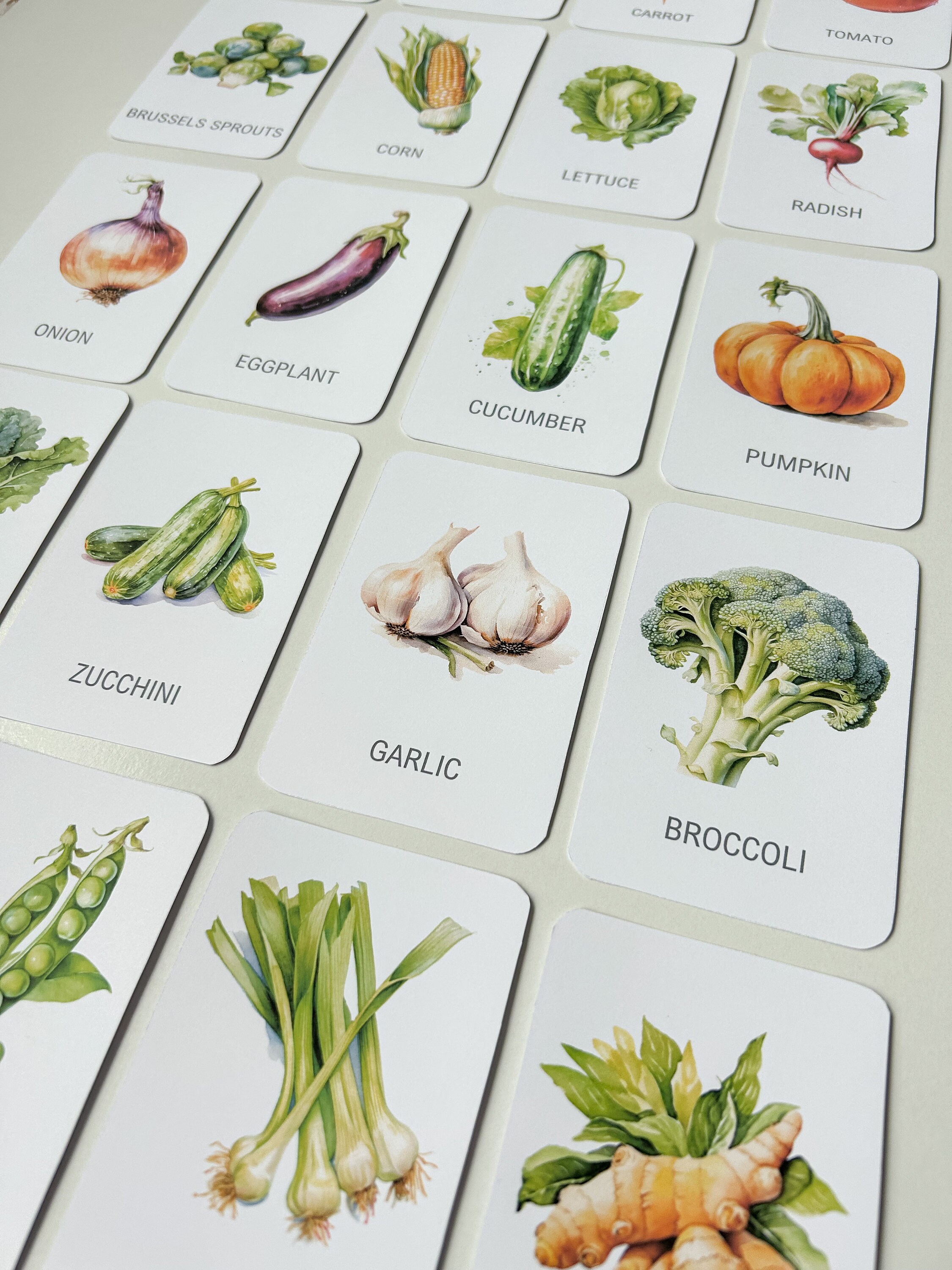 28 Vegetable Flashcards Printable, Educational Resource, Child ...