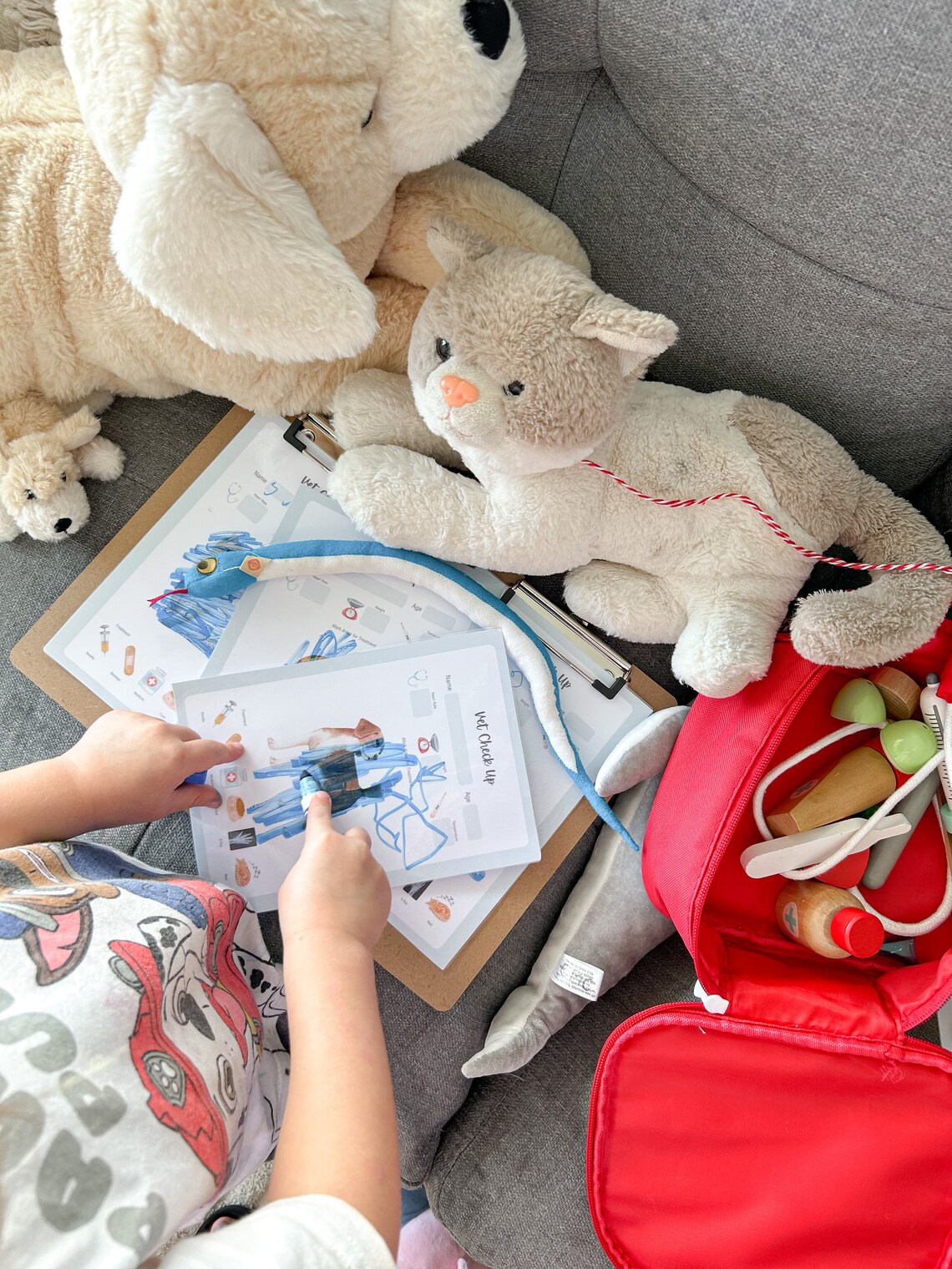 Vet Check up Dramatic Play Printable, Veterinary Clinic, Animal ...