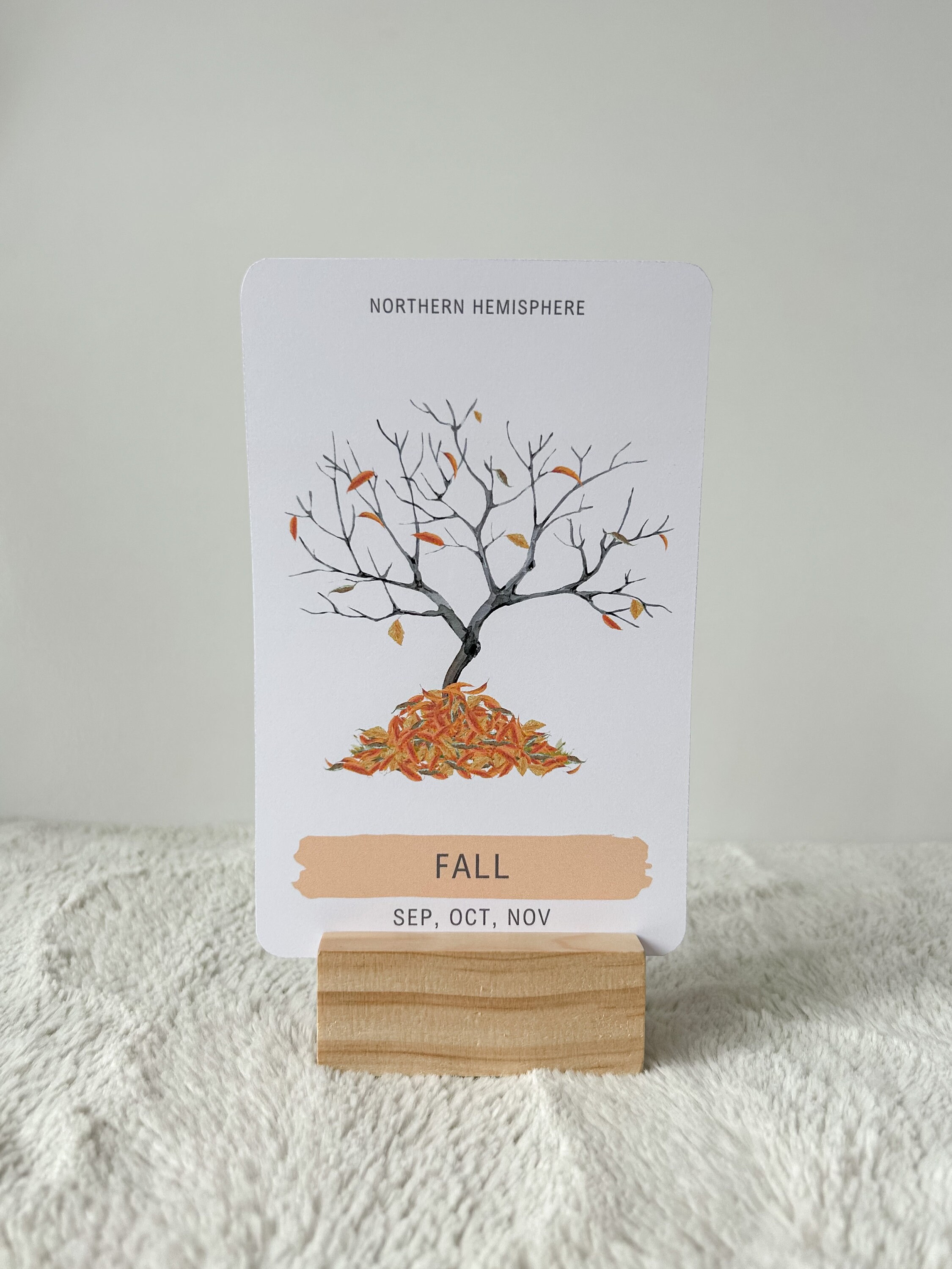 Season Flashcards Printables, Northern and Southern Hemisphere Seasons ...