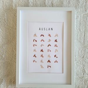 AUSLAN Alphabet Poster Printable, Learn Australian Sign Language ...