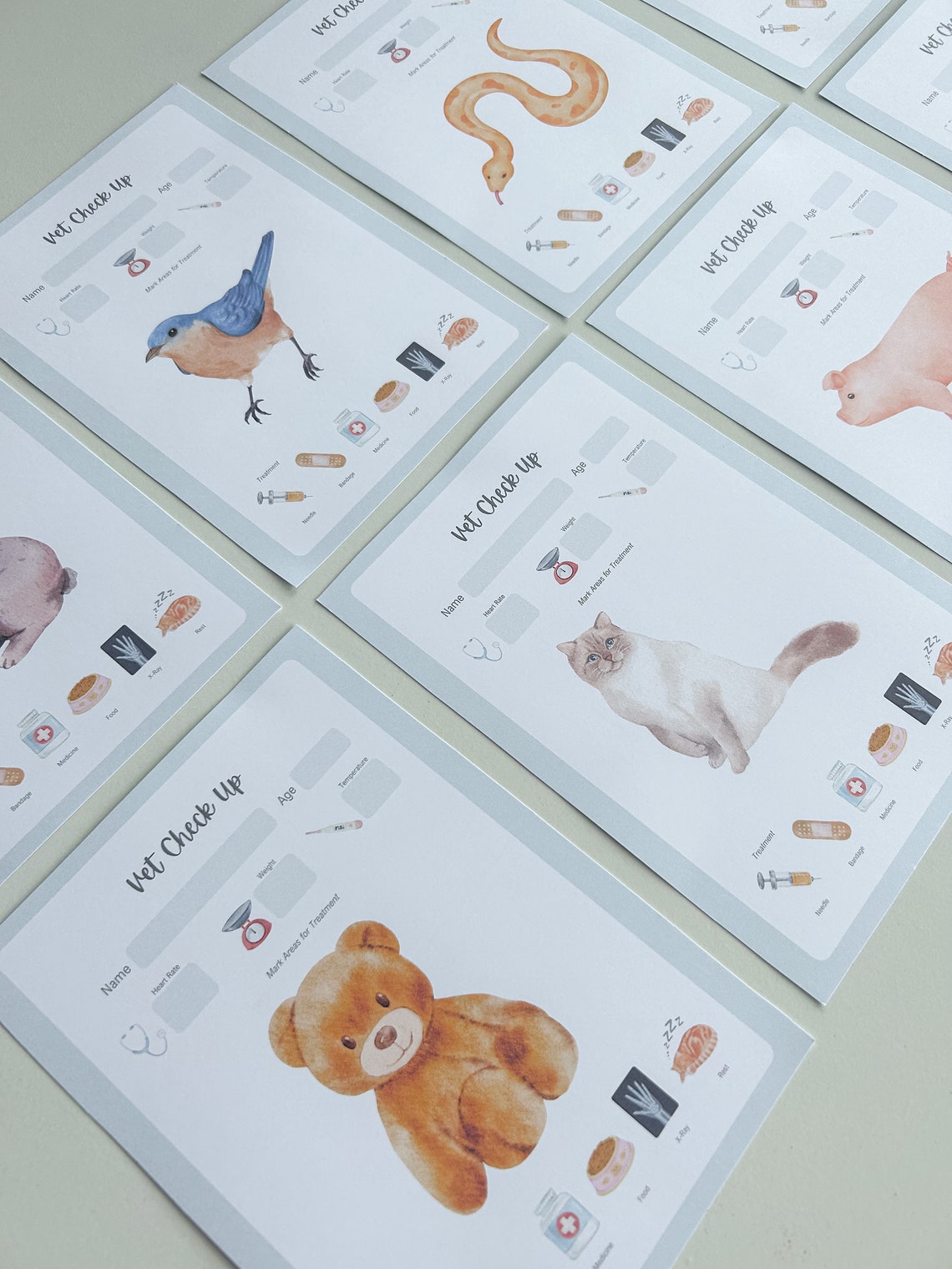 Vet Check up Dramatic Play Printable, Veterinary Clinic, Animal ...