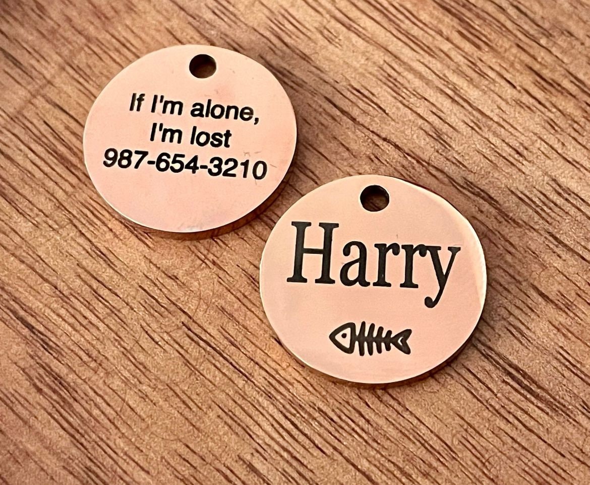 Cat Tag Personalized, Cat Name Tag Small, Cat Collar Name Tag ...