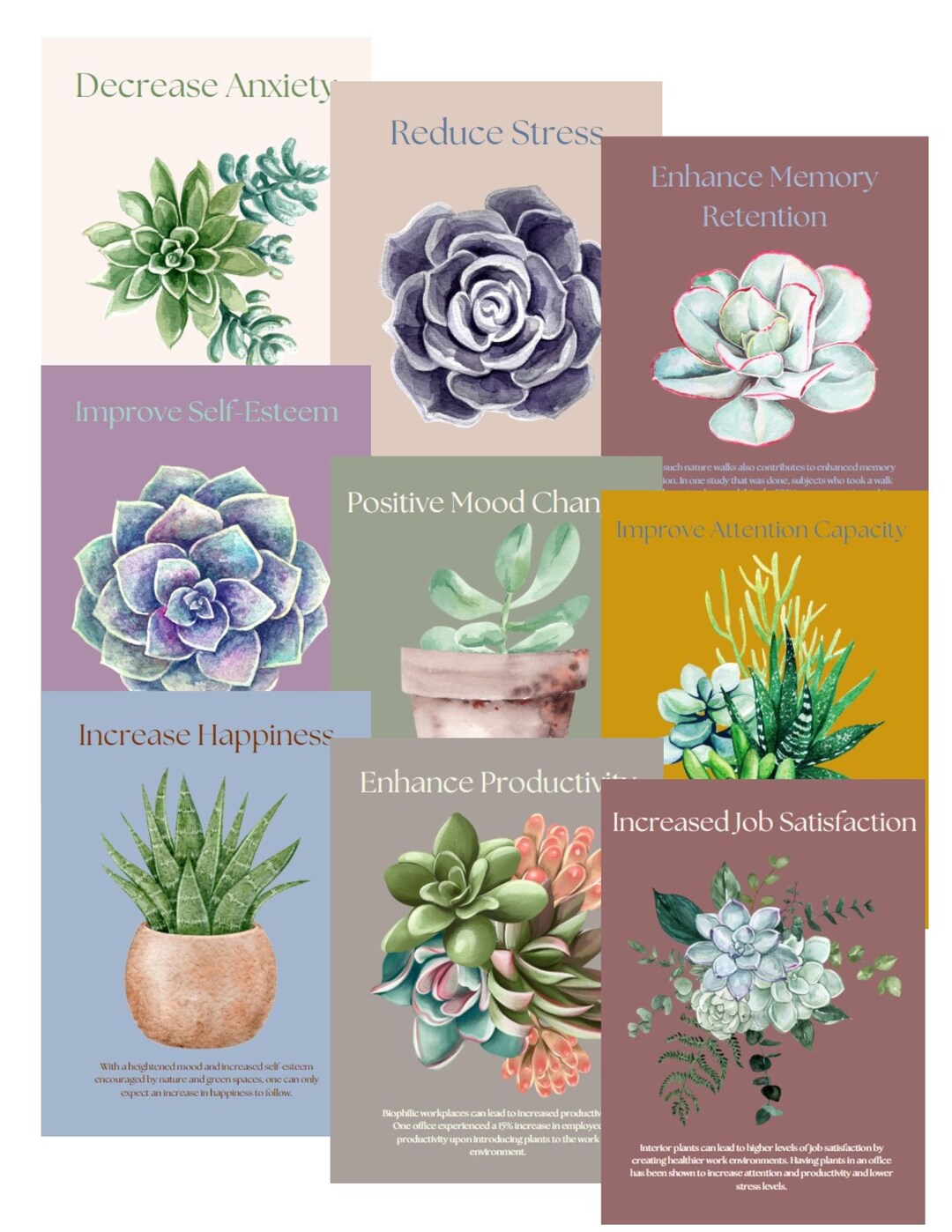 Succulent Wall Art Bundle, Printable Set of 10, Digital Download, US ...