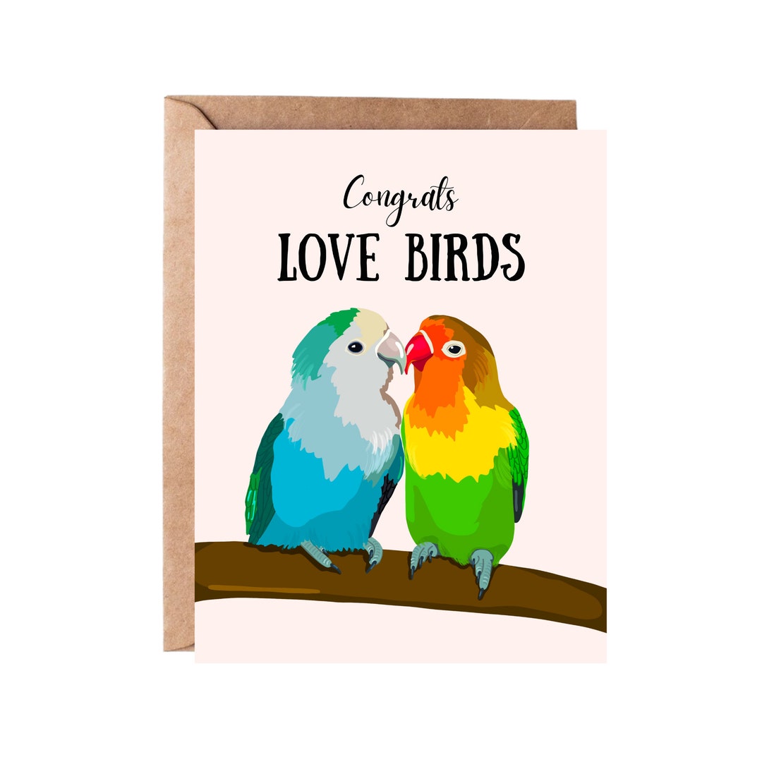 Congrats Love Birds Wedding Card - Etsy