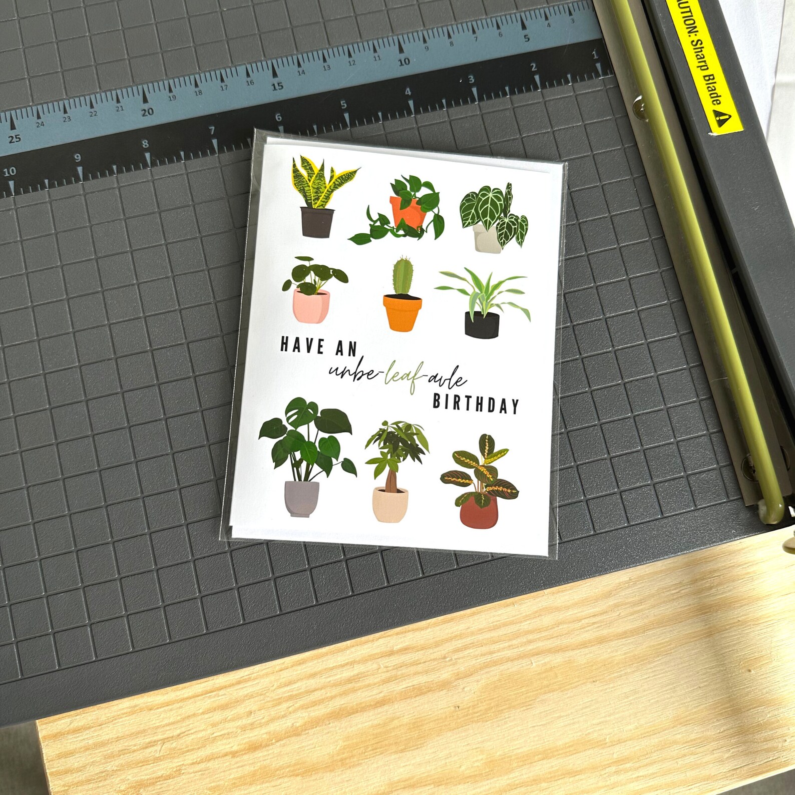 Have an Unbe-leaf-able Birthday Card | House Plant Greeting Card - Etsy