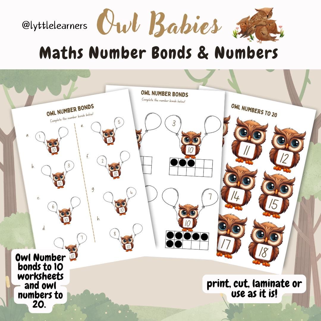 Owl Maths EYFS Pack | Number Bonds to 10 & 20 | Owl Ten Frame ...