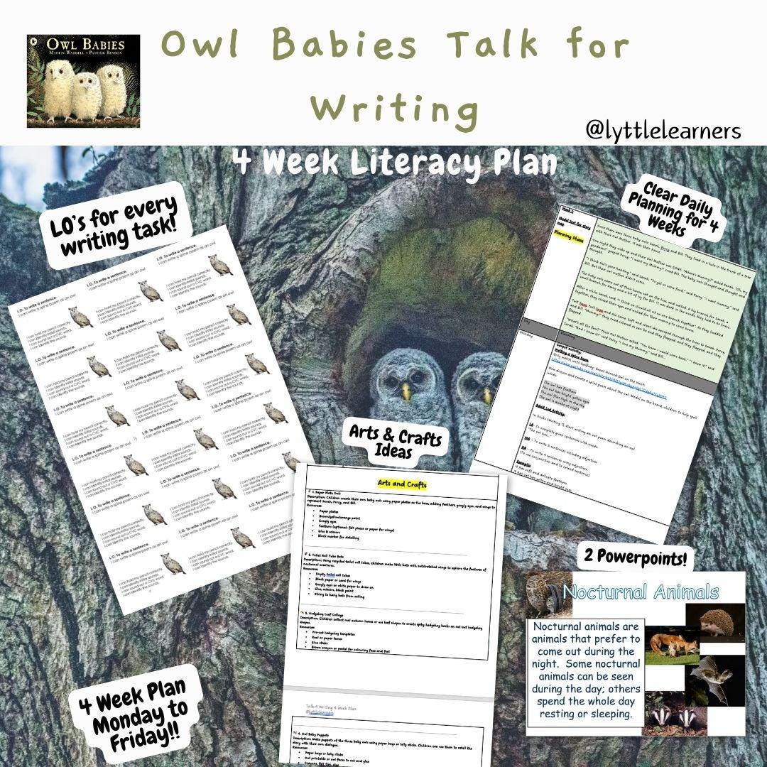 Owl Babies Literacy Unit | EYFS Talk for Writing (PDF & Powerpoint) - Etsy