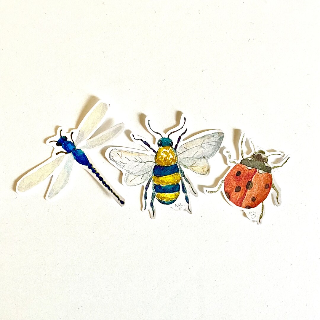 Watercolor Insect Stickers, Dragonfly, Bee, Ladybug, 2" Stickers (set ...