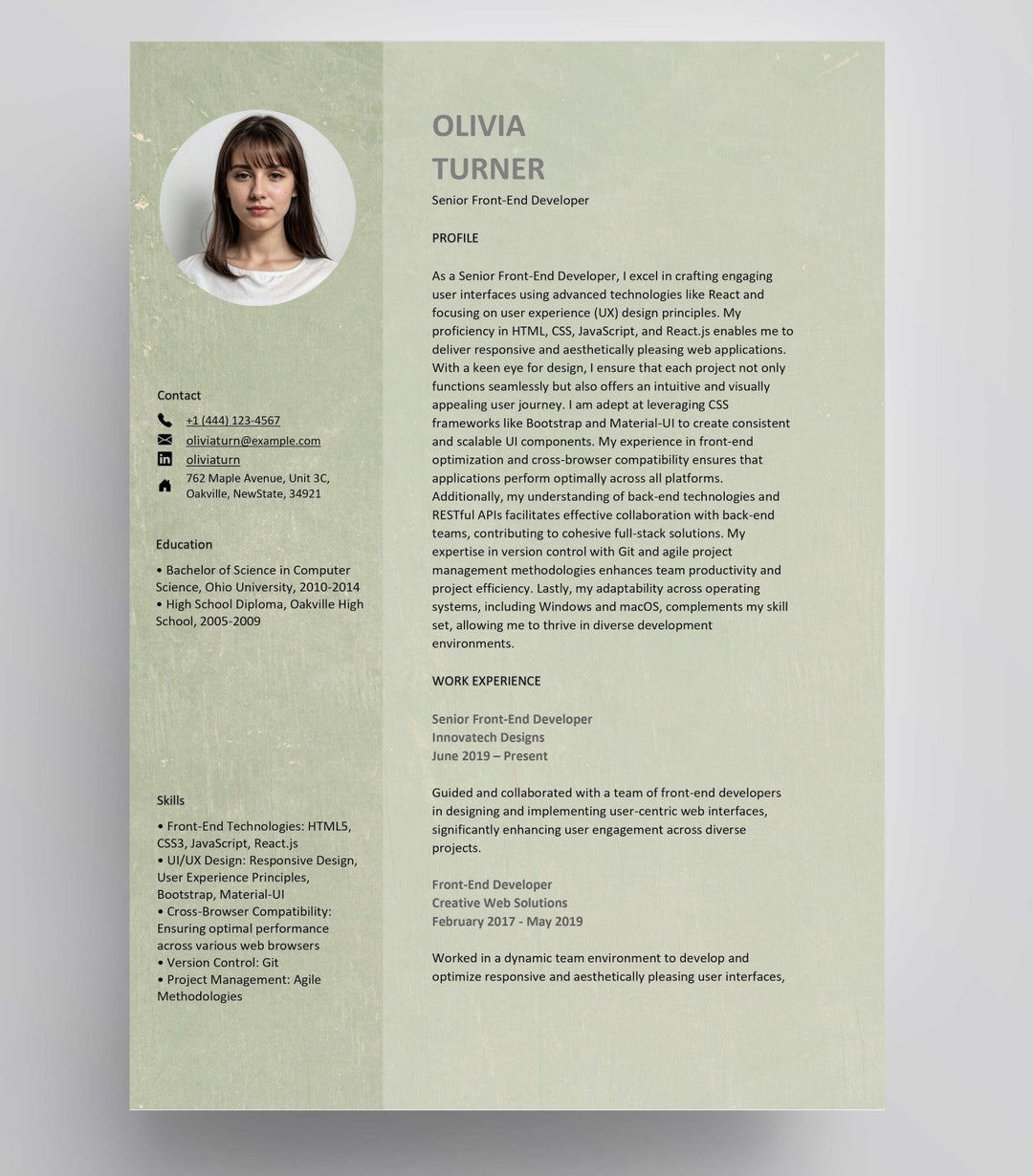 Resume Template Word Resume Template Girl Web Developer Resume Template ...
