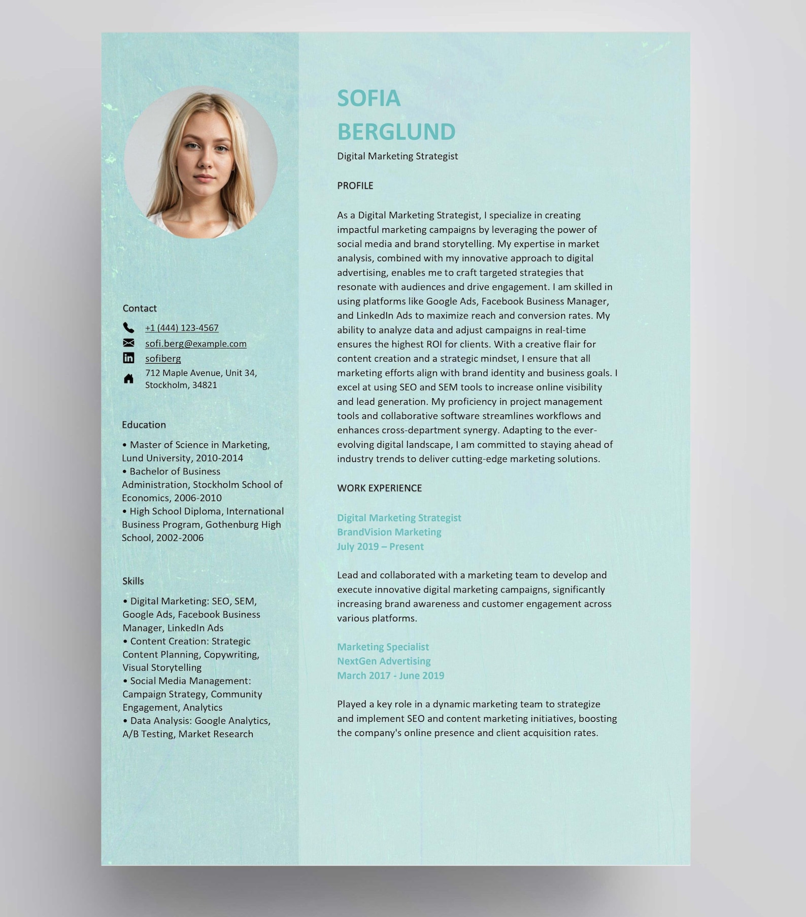 Digital Marketing Resume Template Word Resume Template Marketing ...