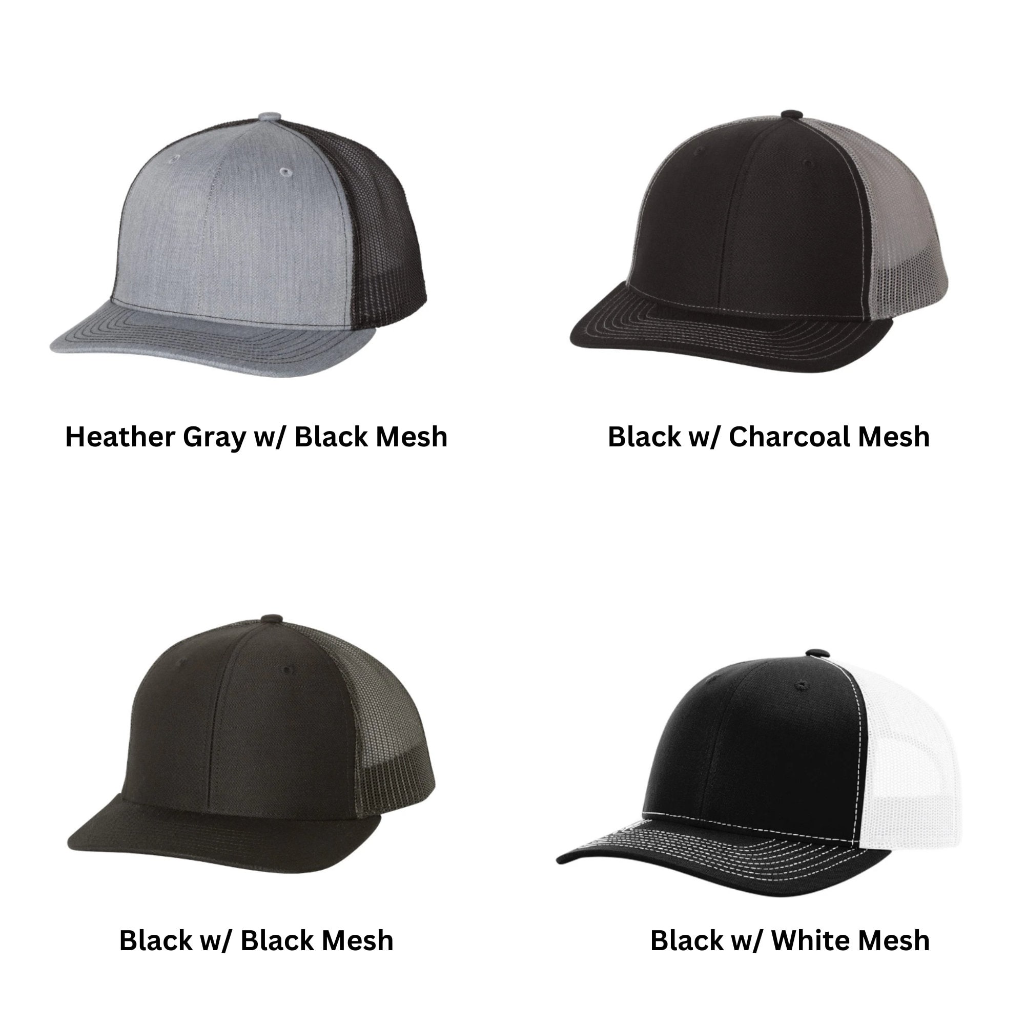 Professional Asshole Hat, Richardson 112, Leatherette Patch, Trucker ...