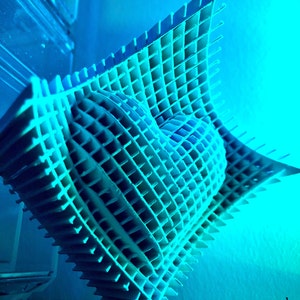 Printable Papercraft Heart,3d Heart Model,heart Templates,diy ...