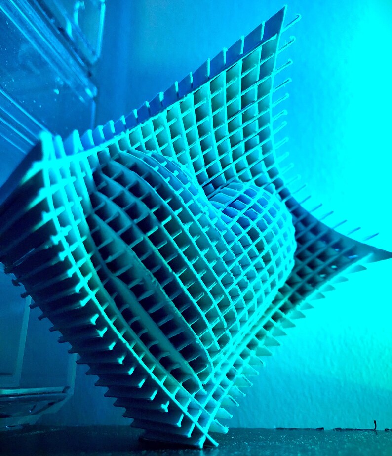 Printable Papercraft Heart,3d Heart Model,heart Templates,diy ...