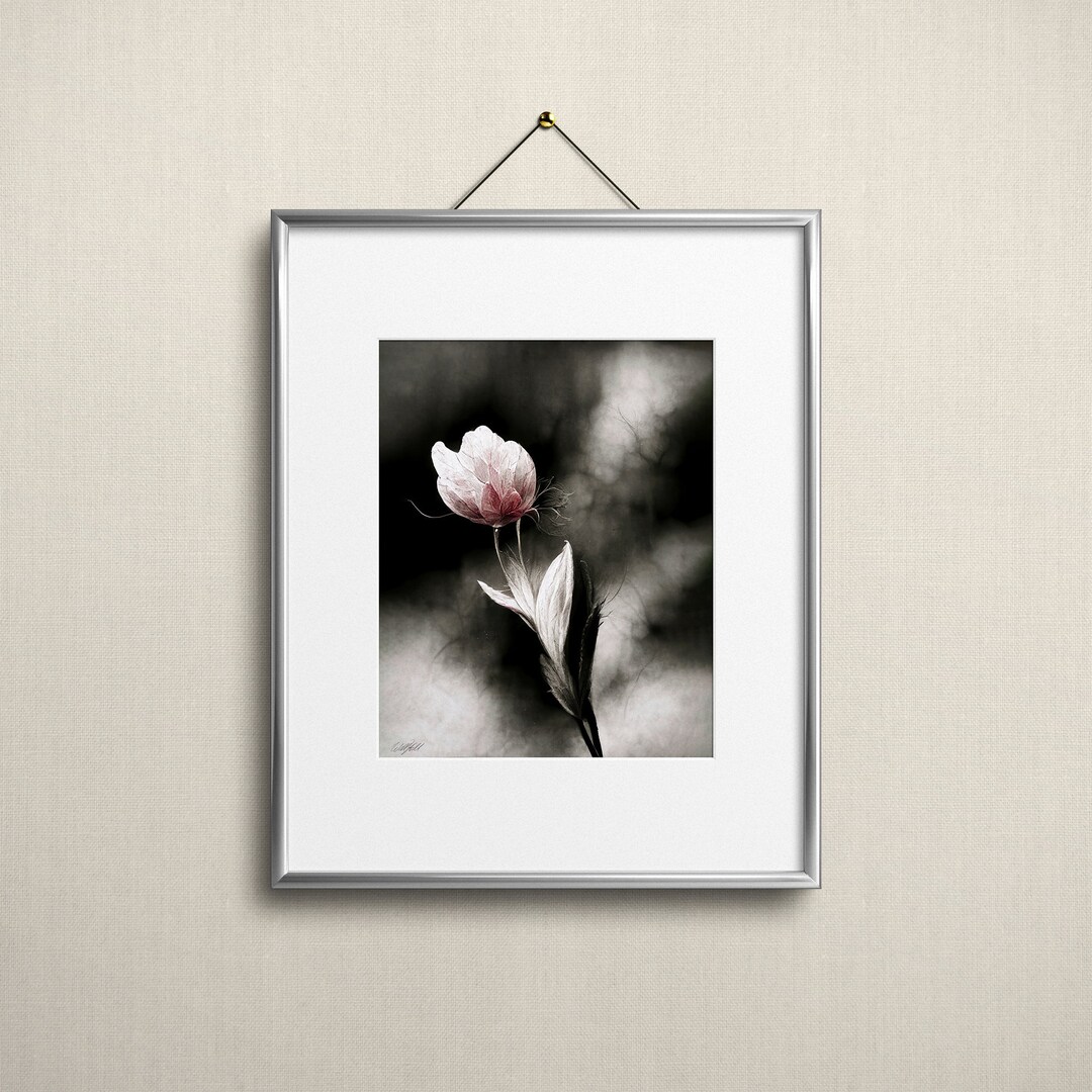 Timeless Tulip Photo Art - Downloadable Dark Botanical Wall Art for ...