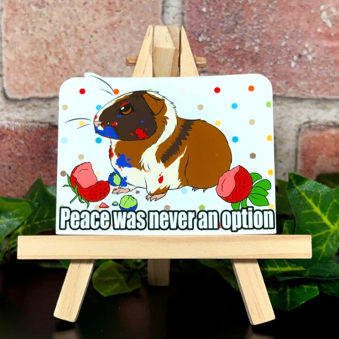 Peace Was Never an Option Guinea Pig Eating Blueberries & Strawberries ...