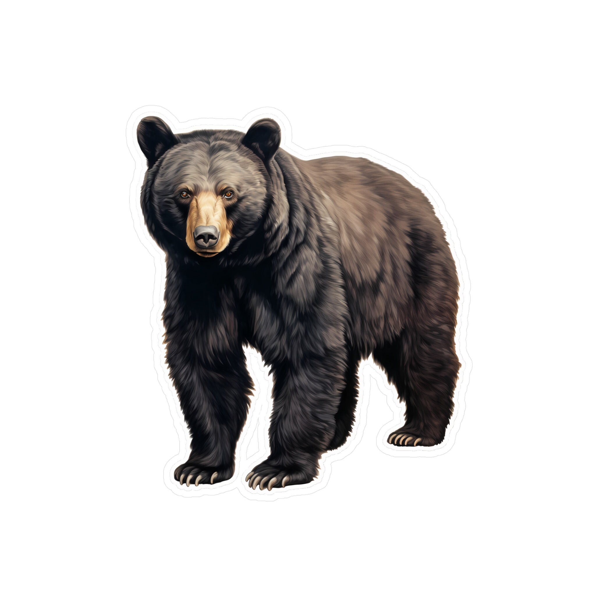 Black Bear Decal Big Black Bear Wall Sticker Bear Decal for - Etsy