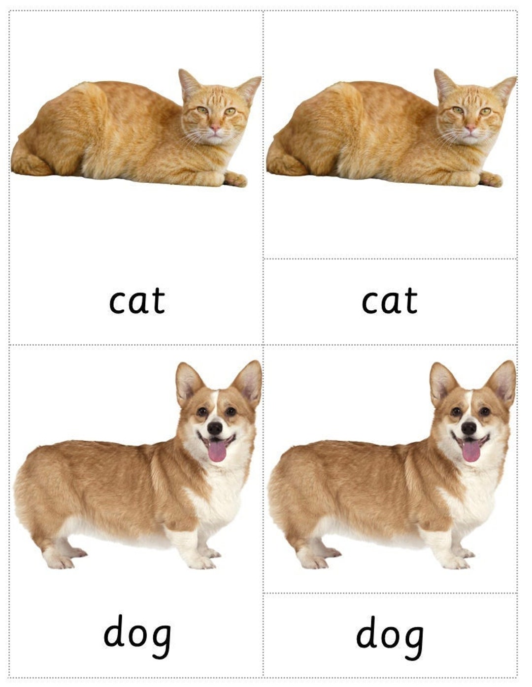 12 PETS Card Sets Three-part Nomenclature Flashcards real Pictures 6 ...