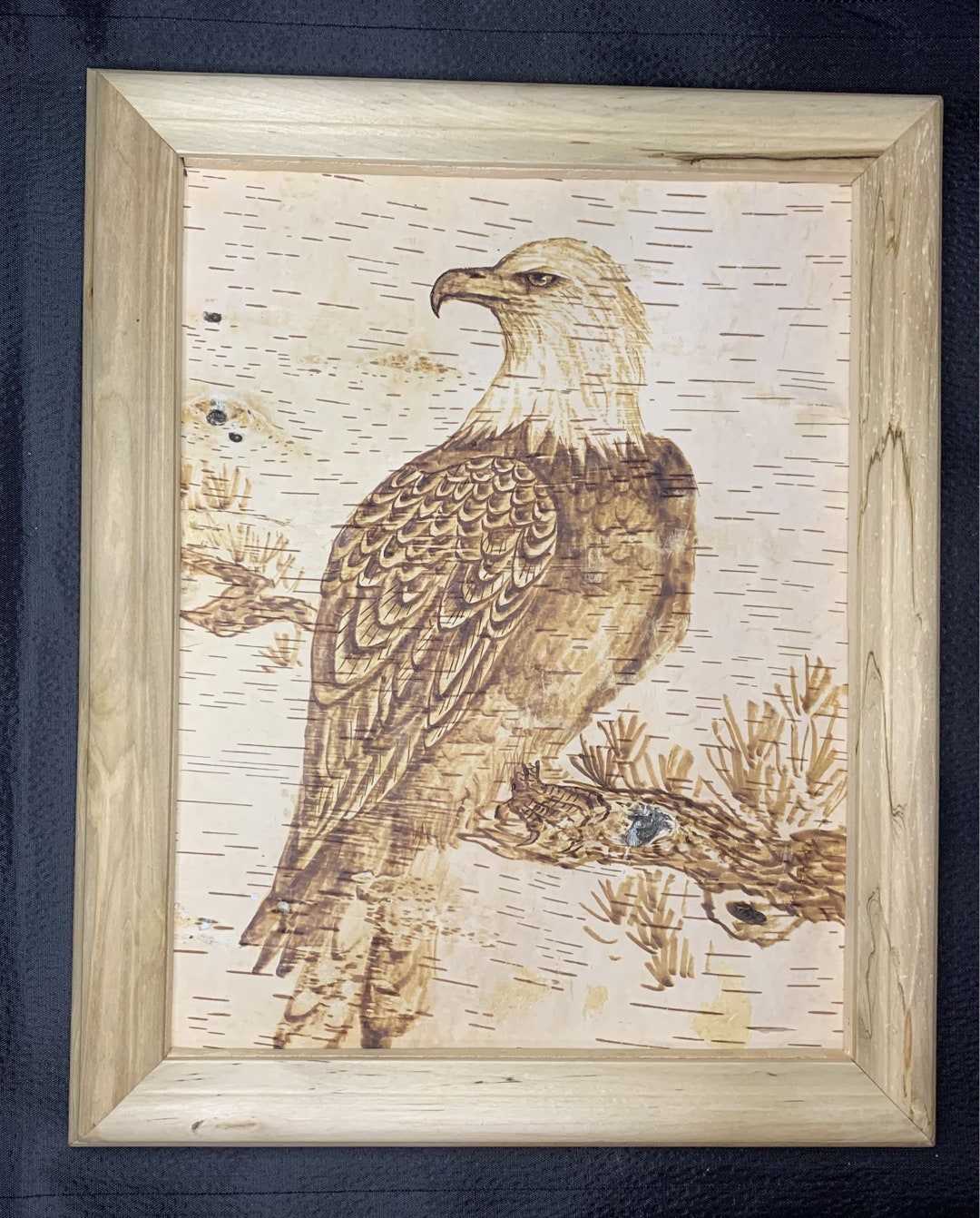 Birch Bark Wood Burning (pyrography) - the American Eagle on the Tree ...