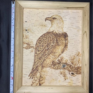 Birch Bark Wood Burning (pyrography) - the American Eagle on the Tree ...