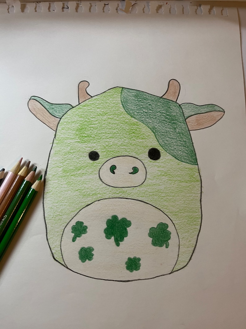 Custom Squishmallow Drawings. Drawing Any Customized Squishmallow ...