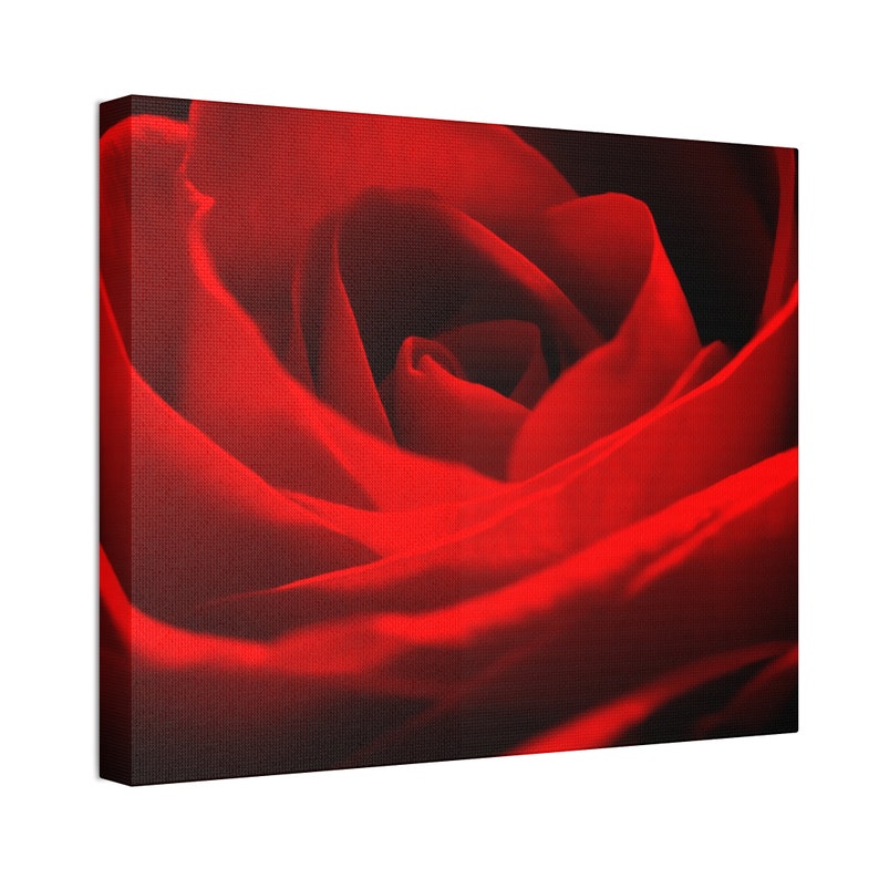 Flower Red Rose Poster or Canvas Ready to Hang Wall Art Design | Canvas ...