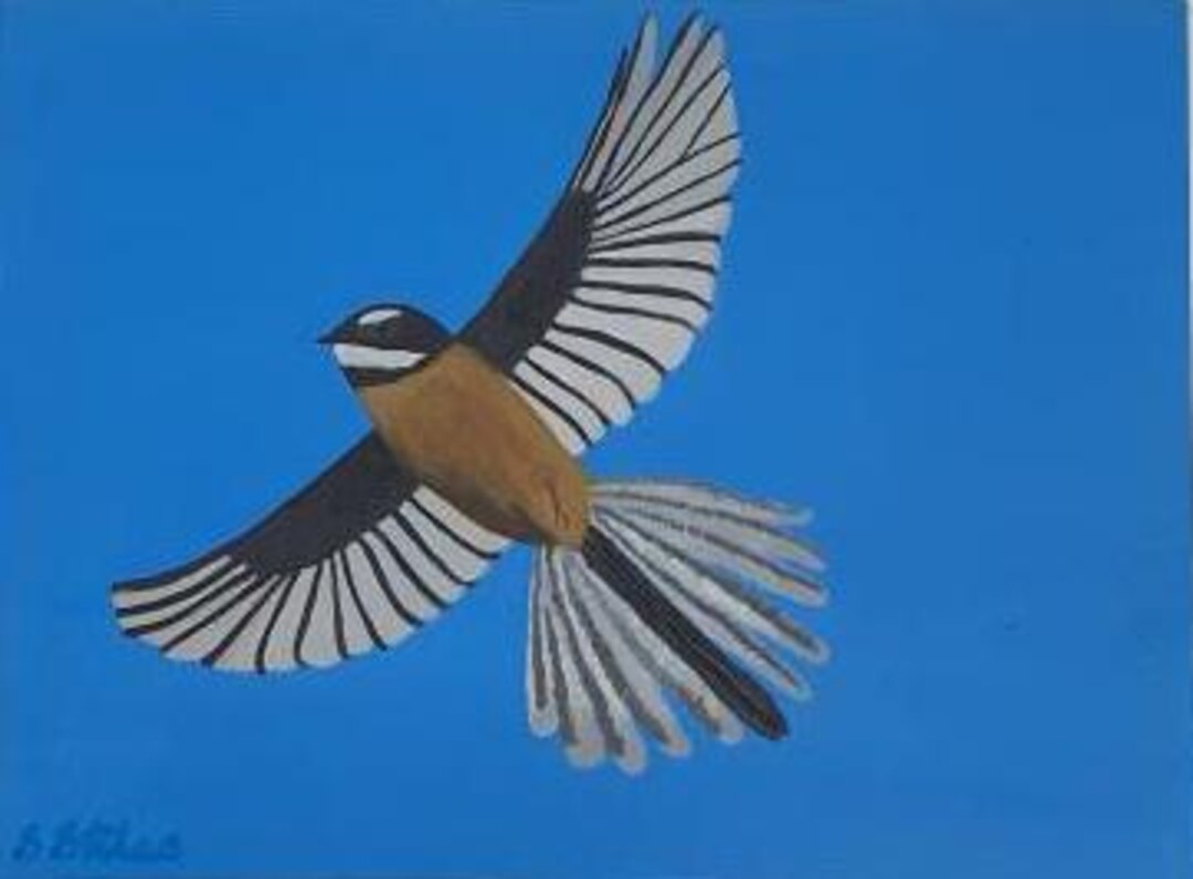 Flying New Zealand Fantail Acrylic Painting - Etsy