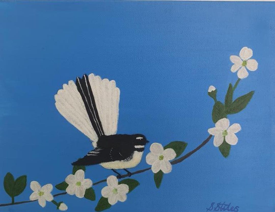 New Zealand Fantail Painting - Etsy