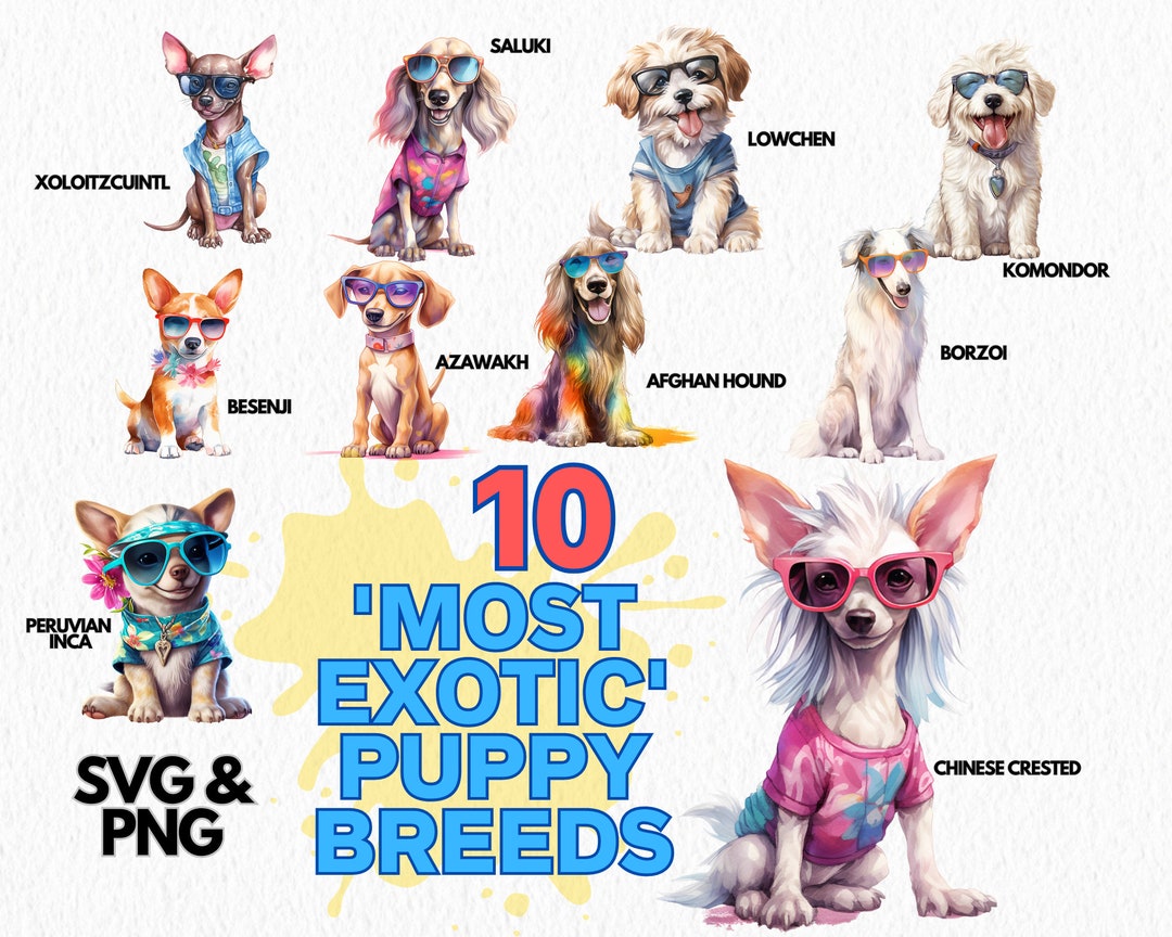 Dog Breed Clipart Bundle Png Svg Digital Download | 10 Unique Puppy ...