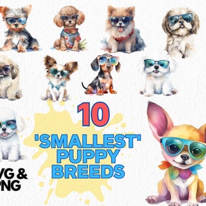 Watercolor Dogs With Sunglasses! Cute Clipart Bundle of Puppies - PNG ...