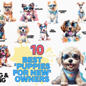Watercolor Dogs With Sunglasses! Cute Clipart Bundle of Puppies - PNG ...