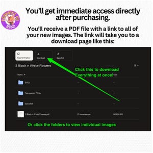 Frog Clipart Circus Jester Digital Download Whimsical Frog Svg Png ...