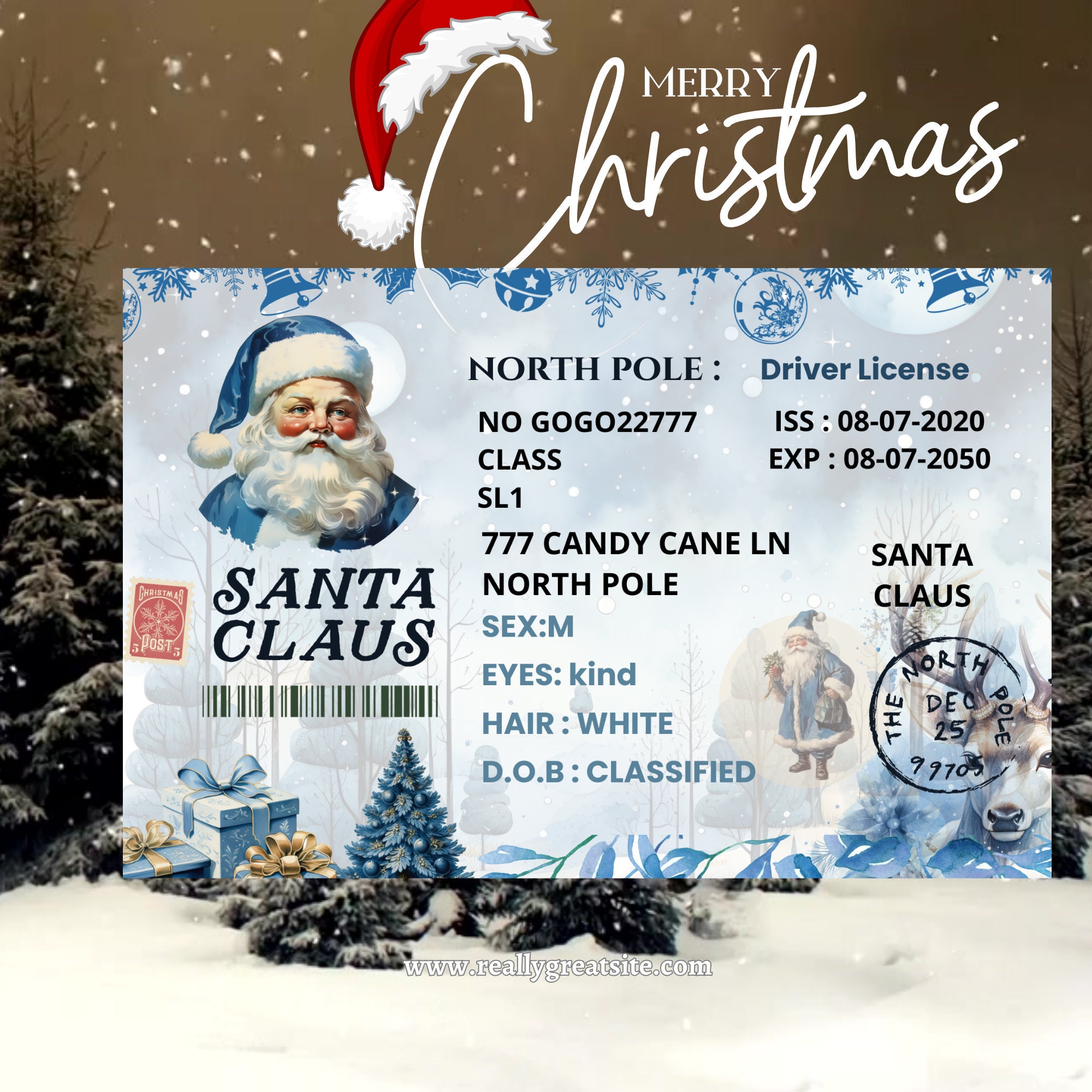 Printable Santa Claus License: Customizable Christmas Canva Template - Etsy
