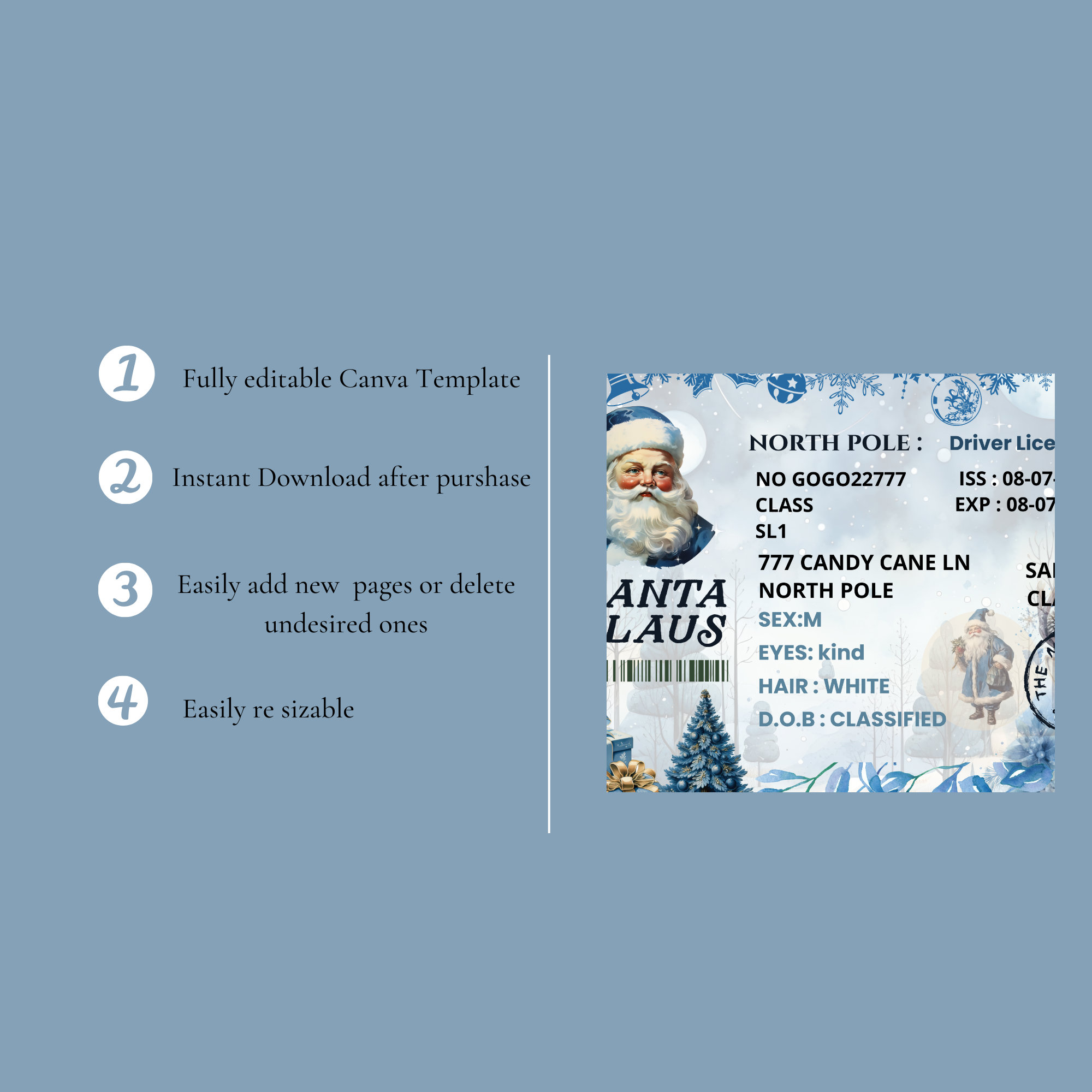 Printable Santa Claus License: Customizable Christmas Canva Template - Etsy