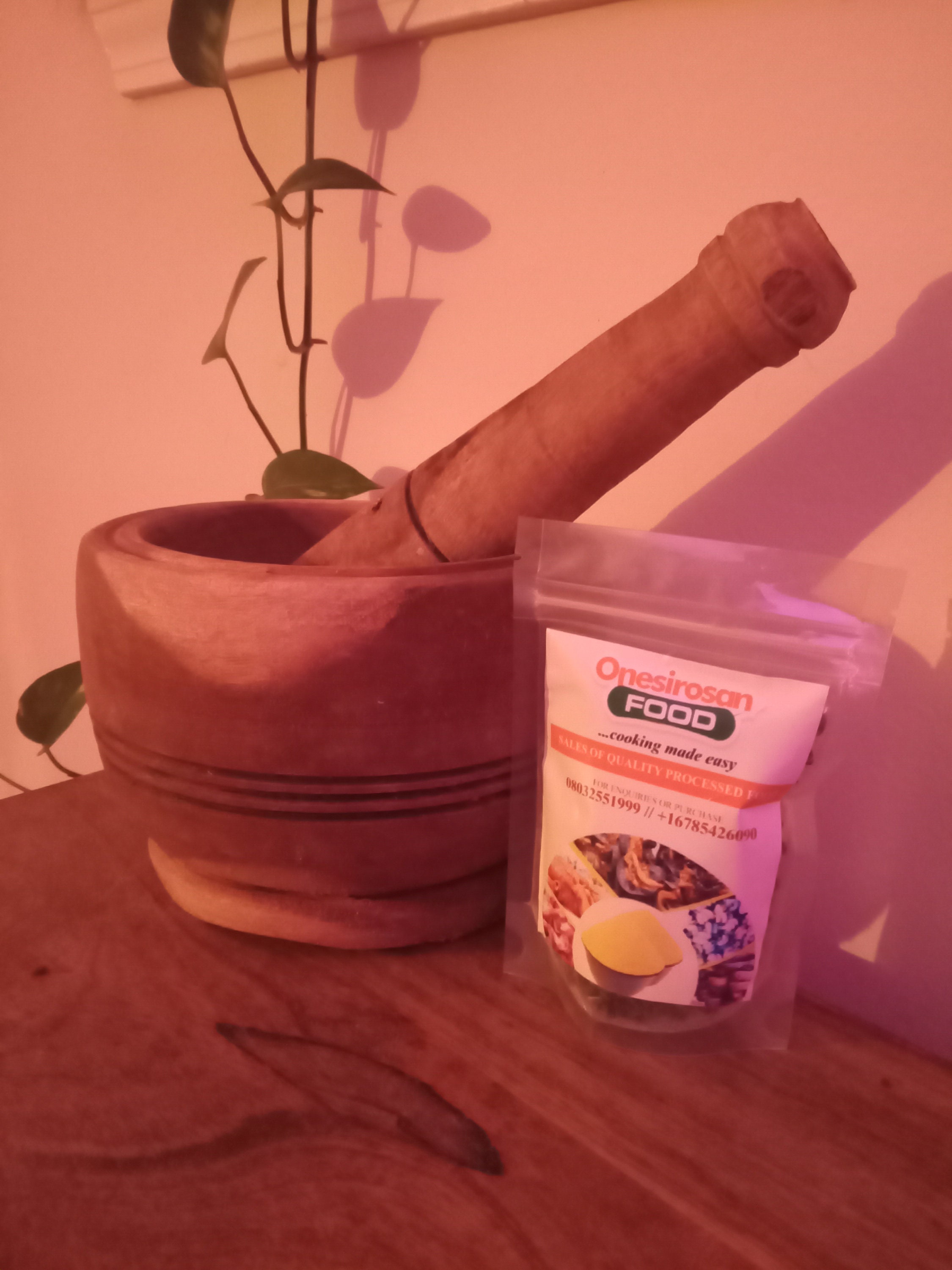 Dried Periwinkle /piom-piom /isam - Etsy