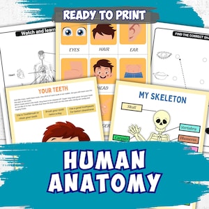 5000+ Preschool Pre-k + Kindergarten Learning Bundle, Activity ...