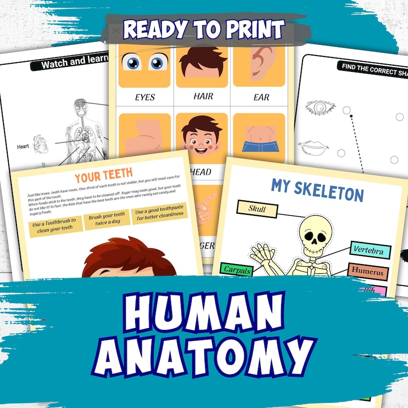 5000+ Preschool Pre-k + Kindergarten Learning Bundle, Activity ...