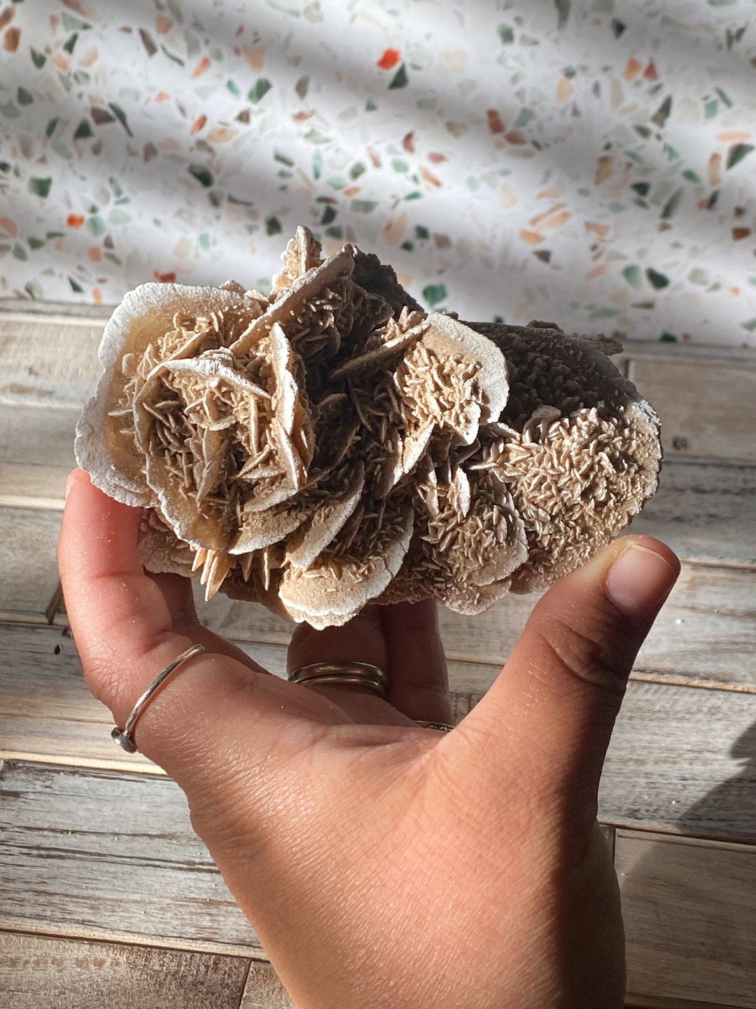 Desert Rose Selenite | Sand Rose Cluster | From Mexico - Etsy