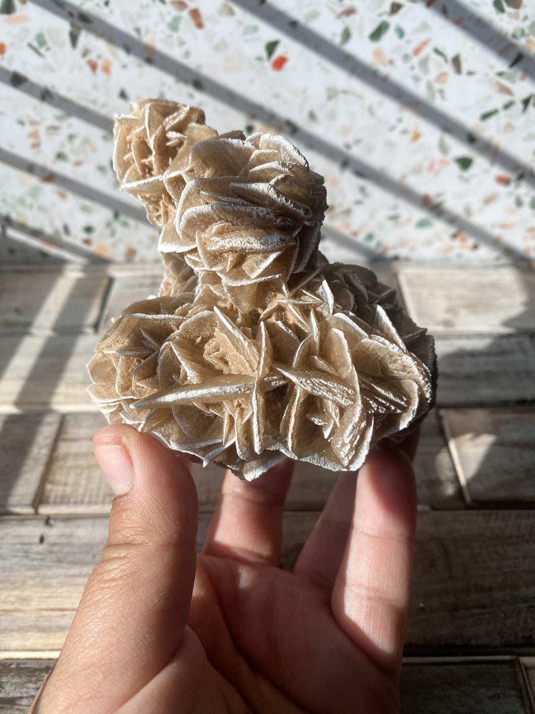 Desert Rose Selenite | Sand Rose Cluster | From Mexico - Etsy