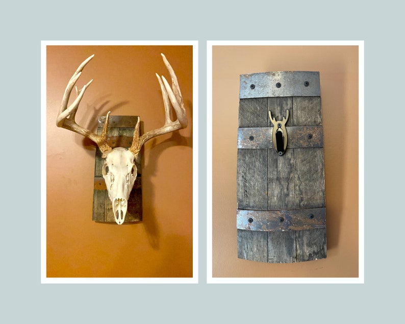 European Mount Plaque With Deer Skull Hanger. Euro Skull Mount Hanger ...