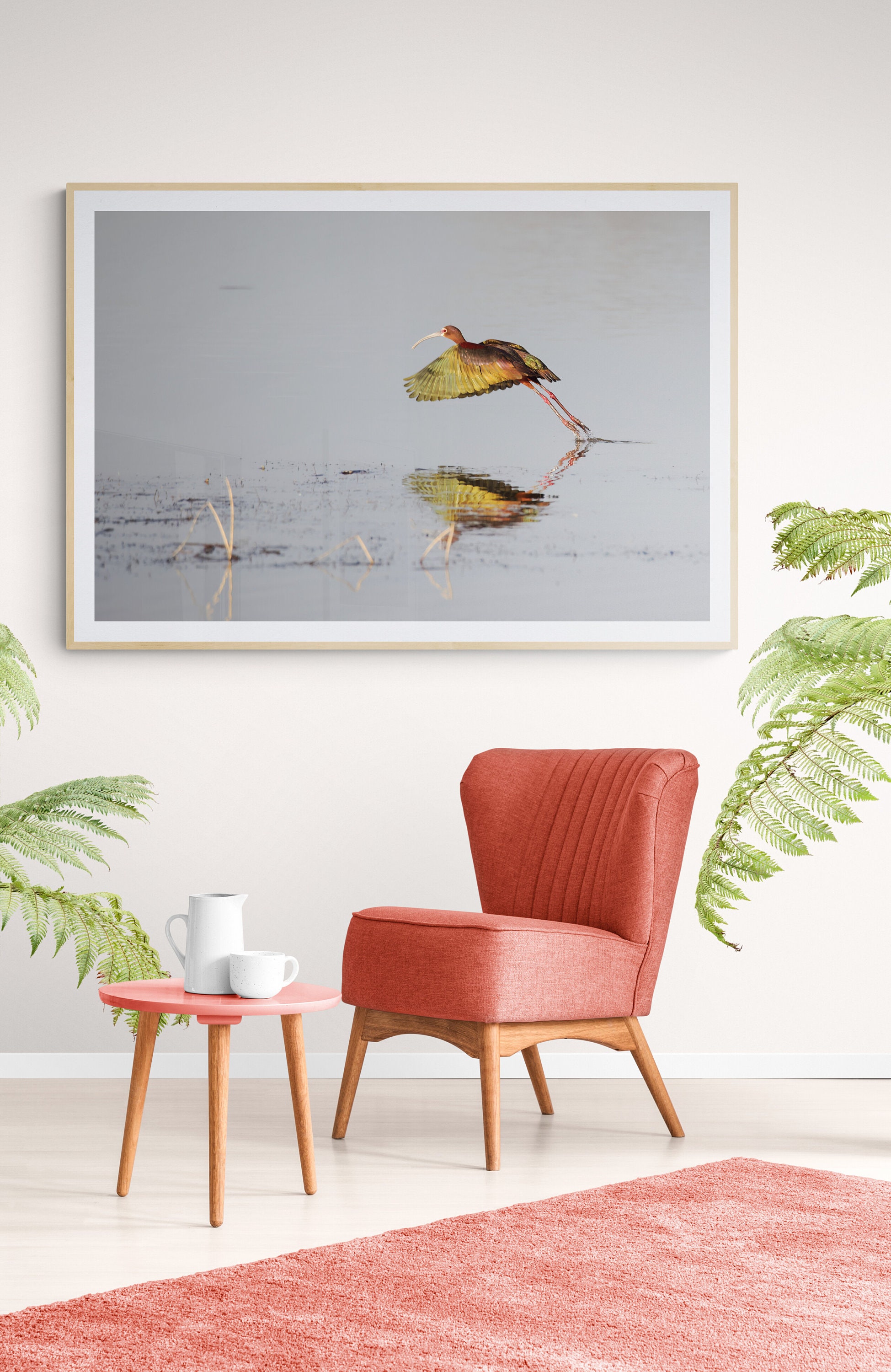 White-faced Ibis Photograph Wildlife Photo Fine Art Print Home Decor ...