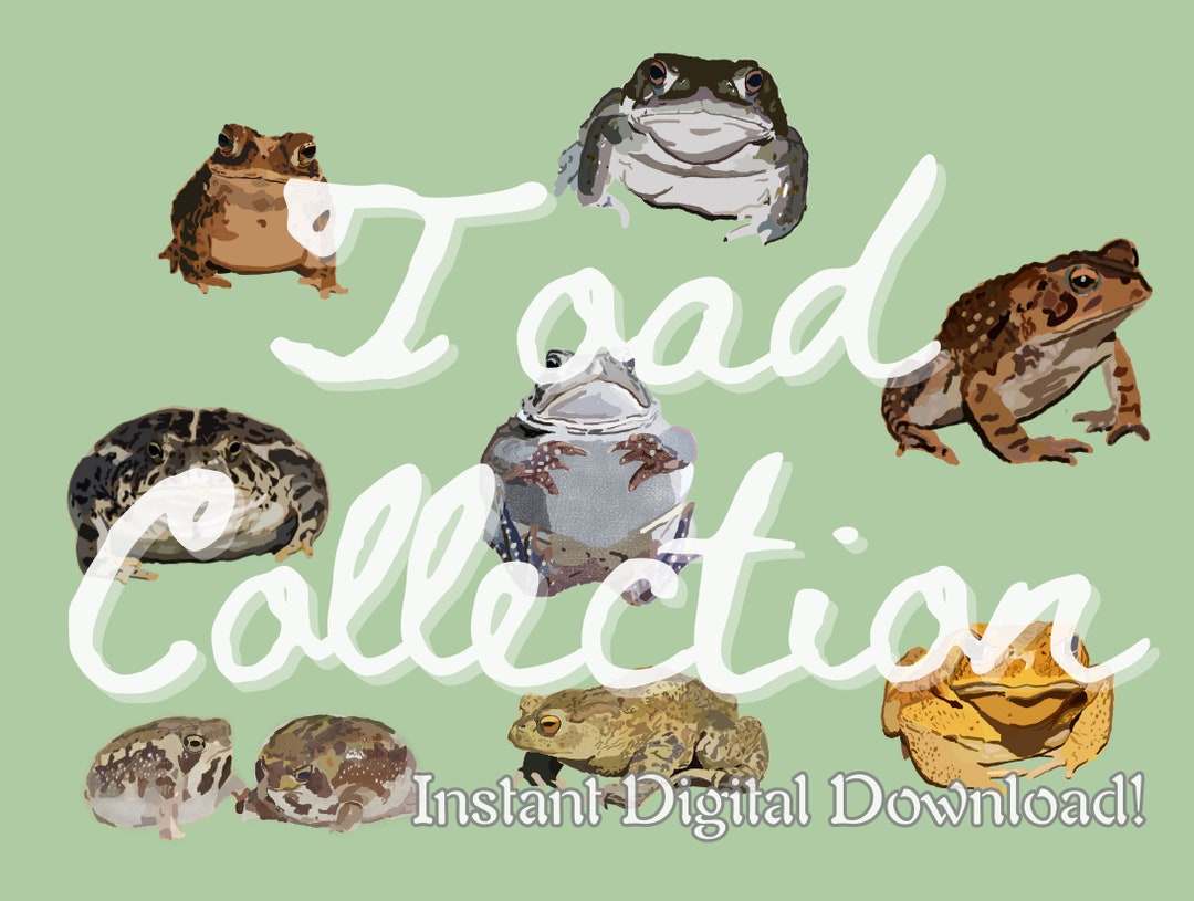 Toad Collection Goblincore Cartoon Illustrations Clip Art Digital