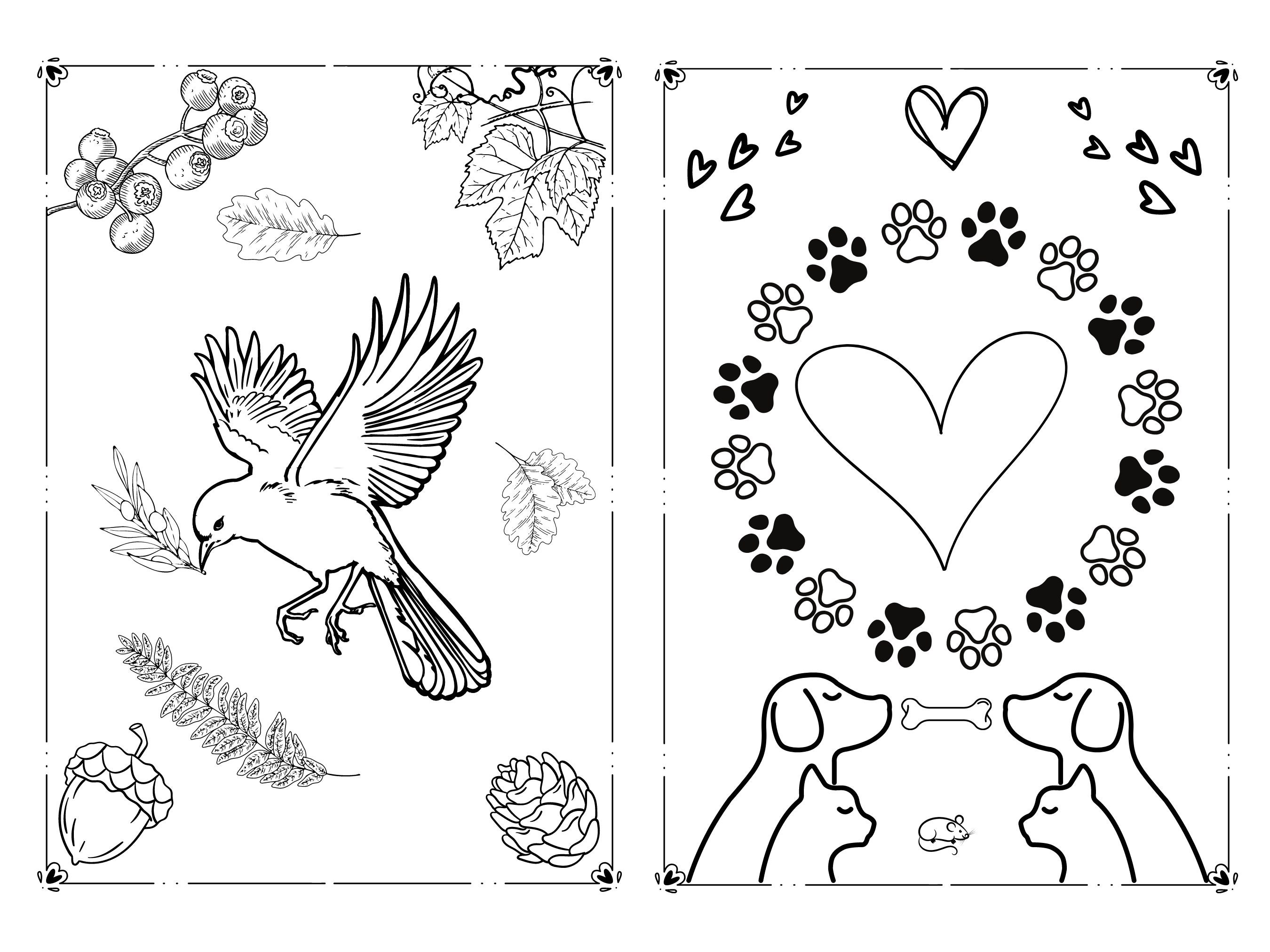 Minimalist Coloring Pages Printable Coloring Book Kids - Etsy